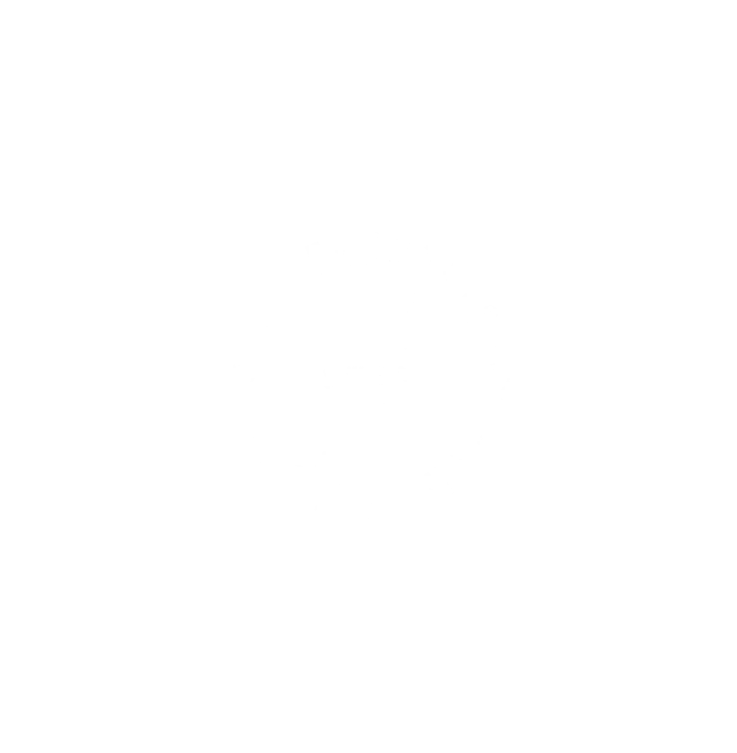 SW Electric