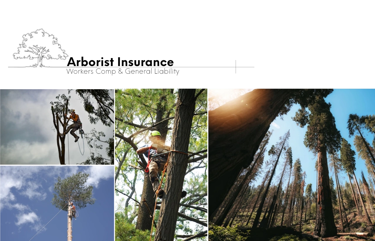 Affordable Arborist Insurance Cost
