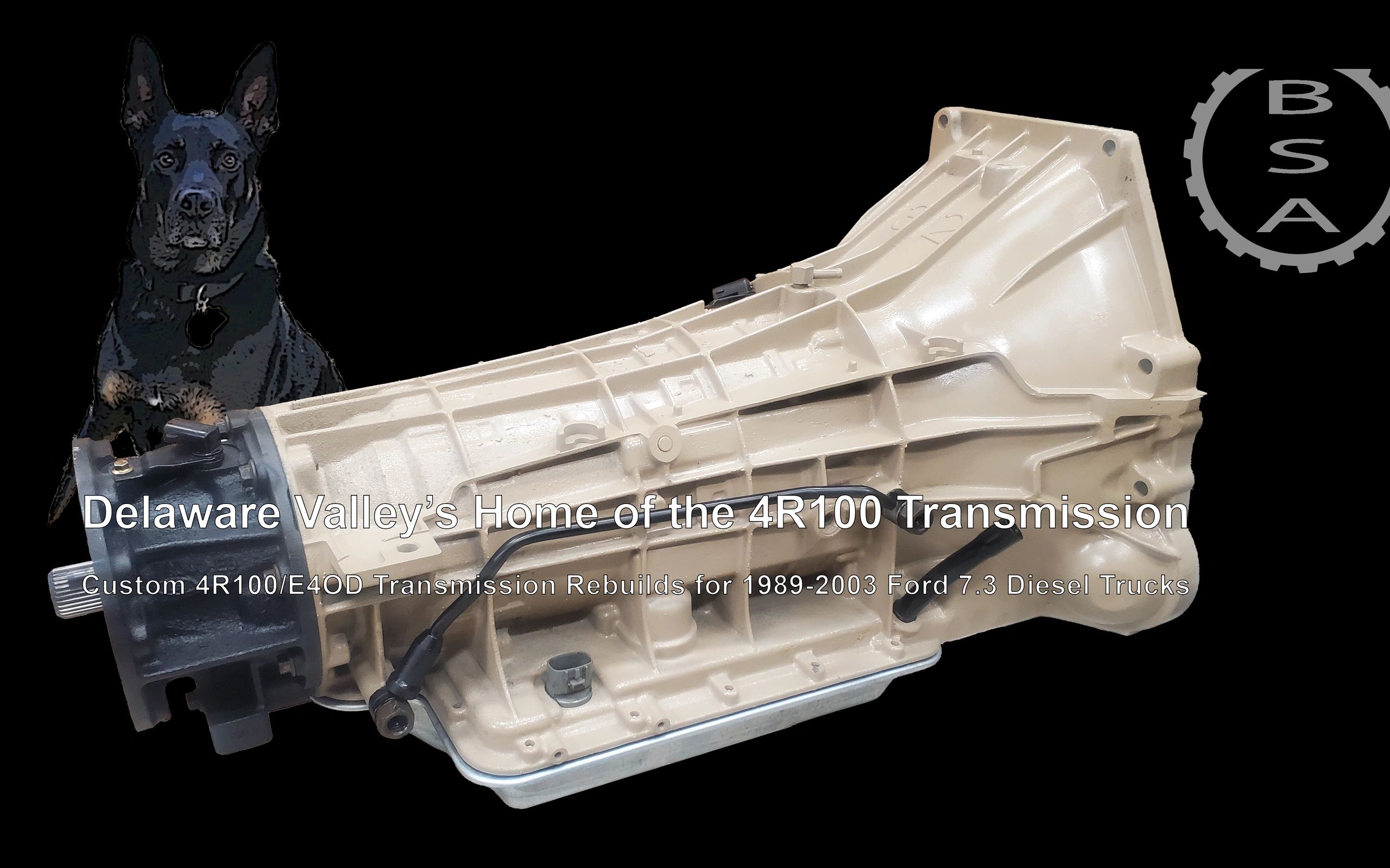BSA Transmissions