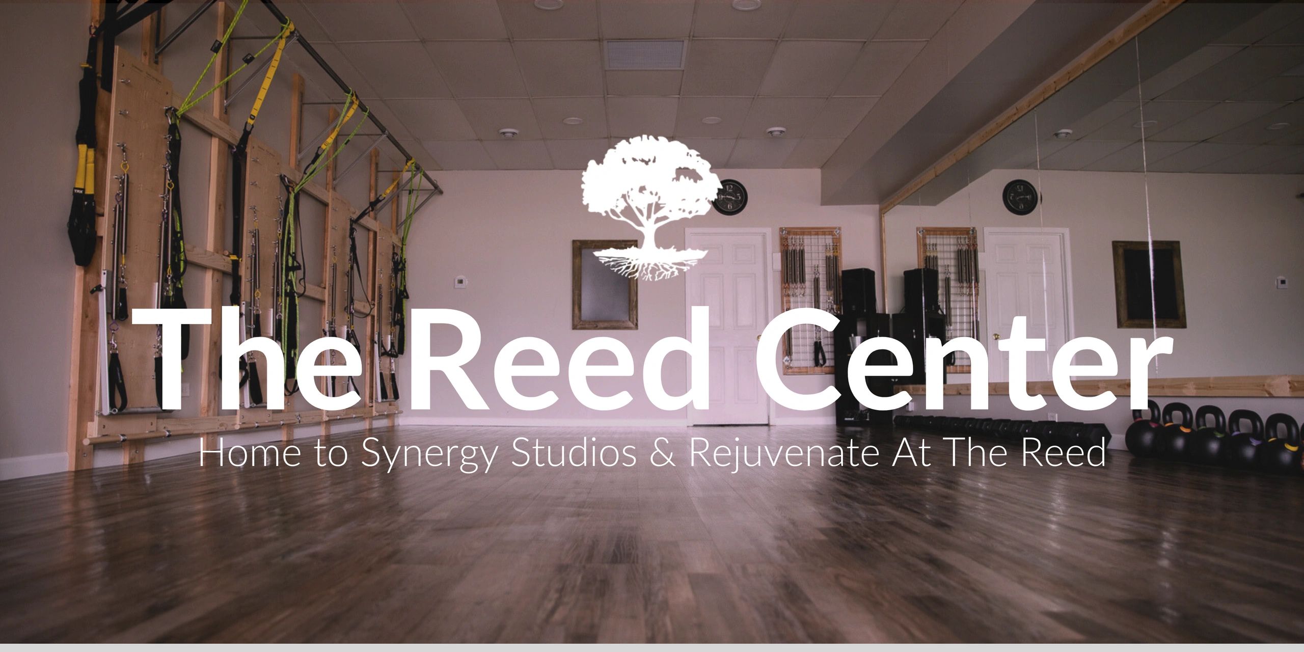 Fitness Classes and Massage - Synergy At The Reed