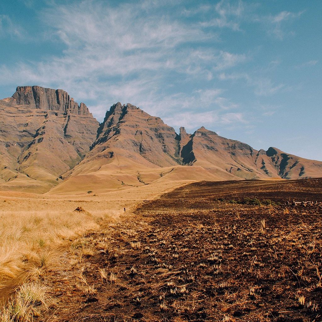 Mountain Soil Composition