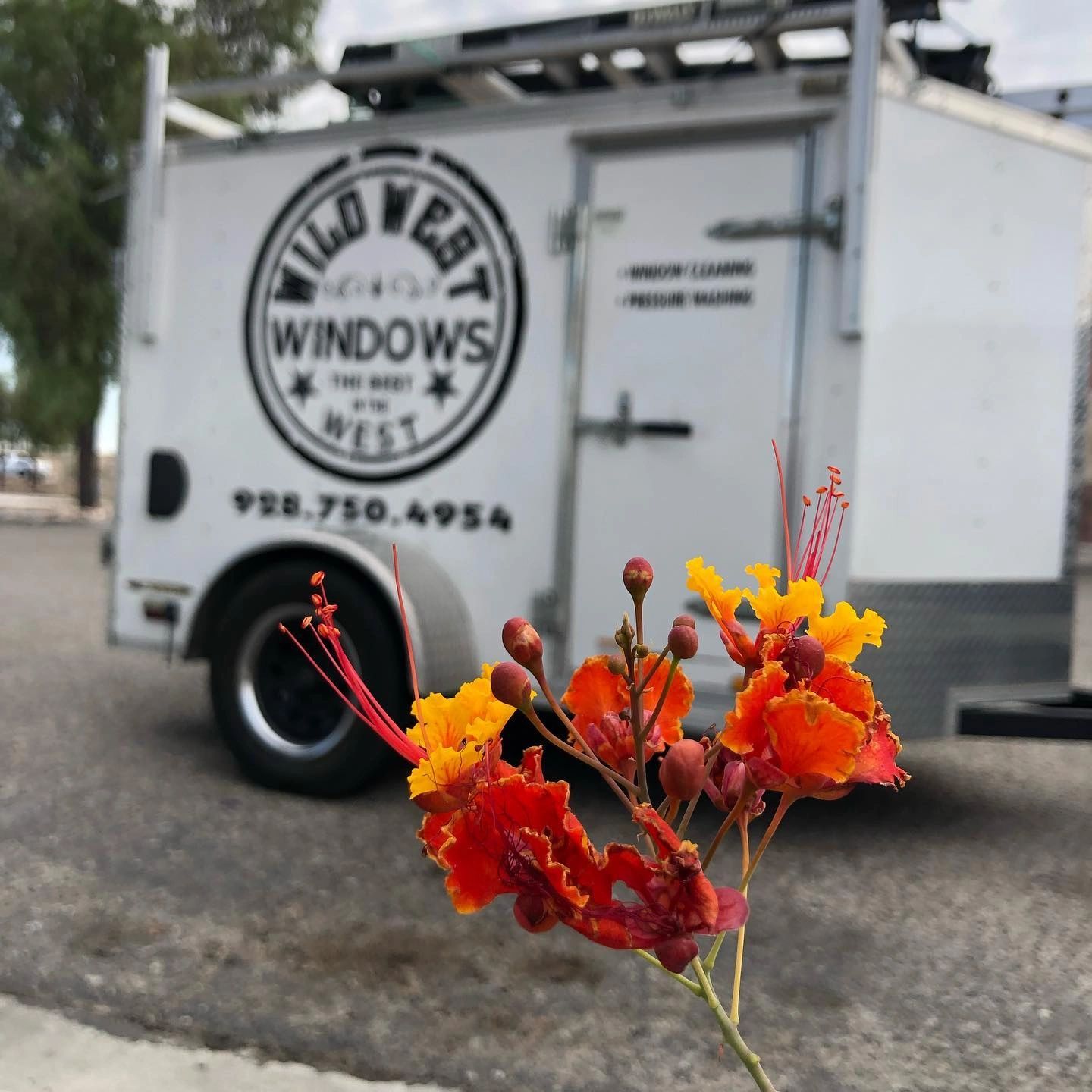 HOME [wildwestwindows.com]