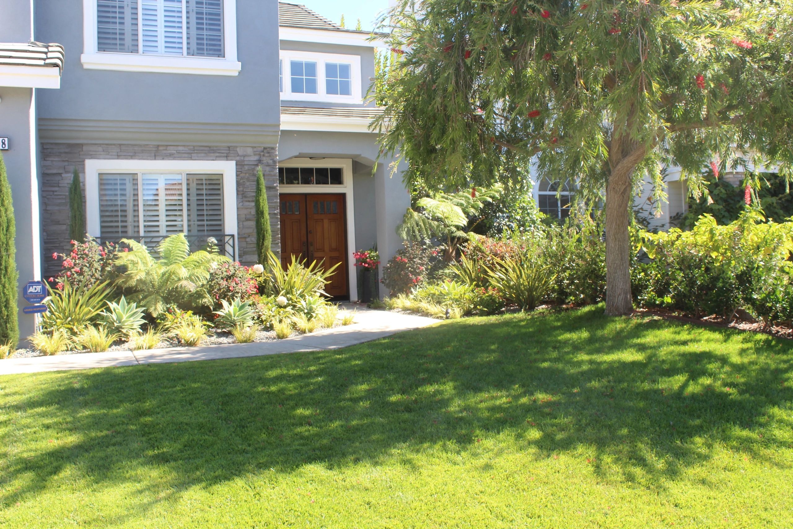 Expert Landscape Construction Services