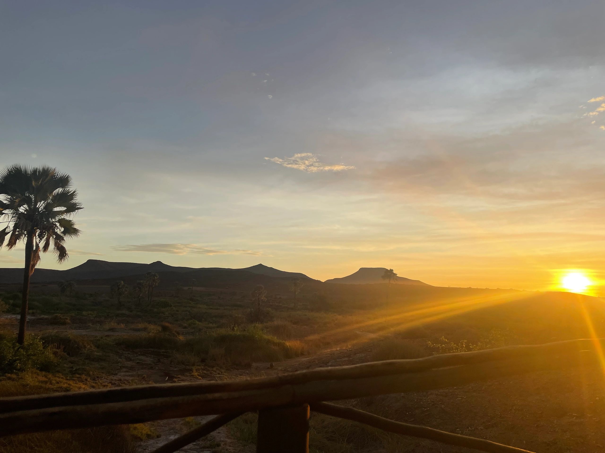 Discover the Hidden Gem: Budget-Friendly African Safari Namibia
