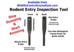 Rodent Inspection Tool (2 Tools)