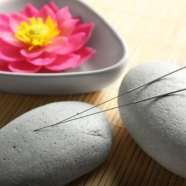Alchemy Wellness & Acupuncture