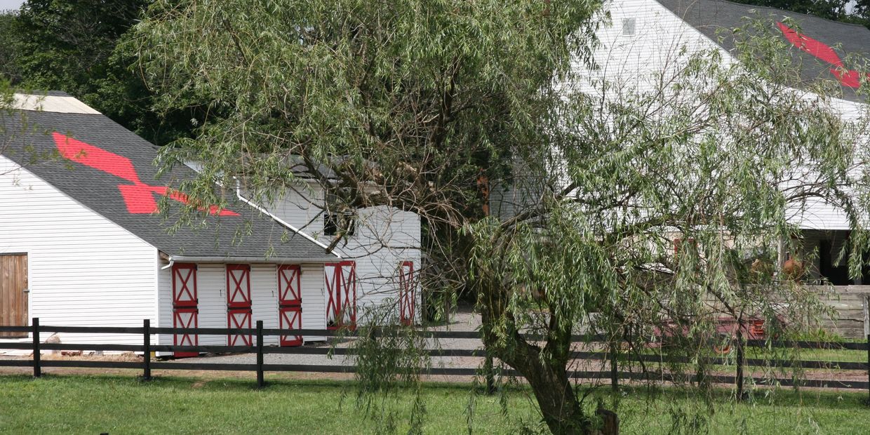 Facilities | Three Diamonds Stable