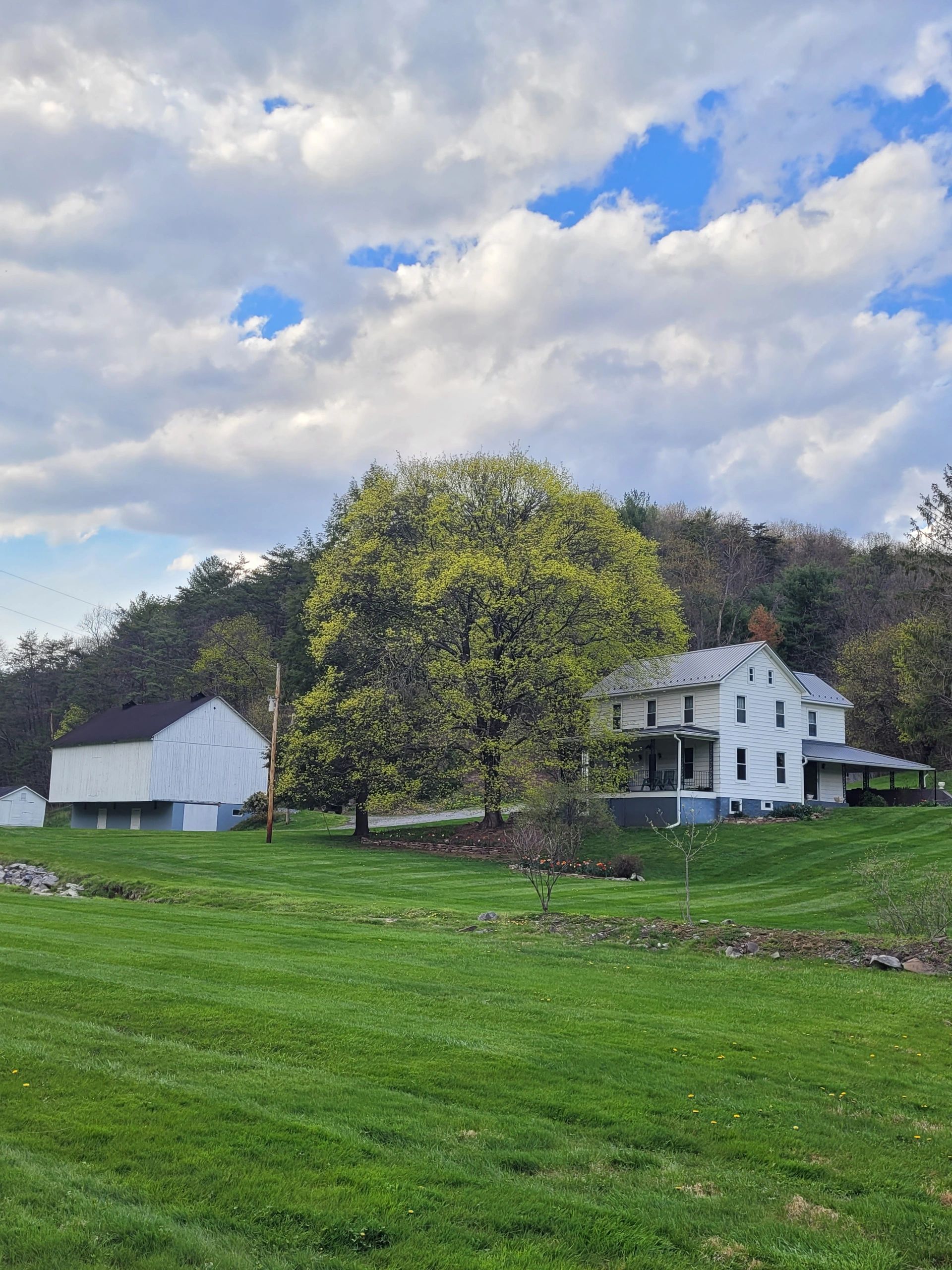 Fresh Garden Vegetables and Herbs at Walnut Springs Farm
