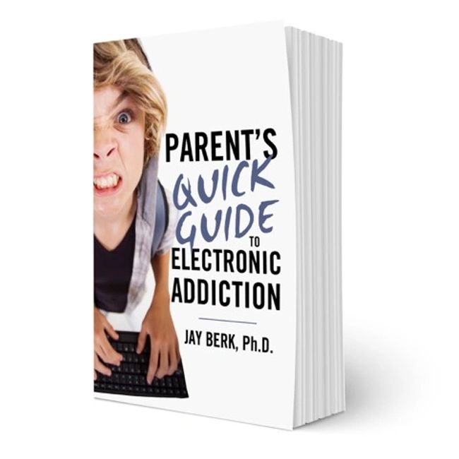 About The Book | Center For Electronic And Video Gaming Addiction