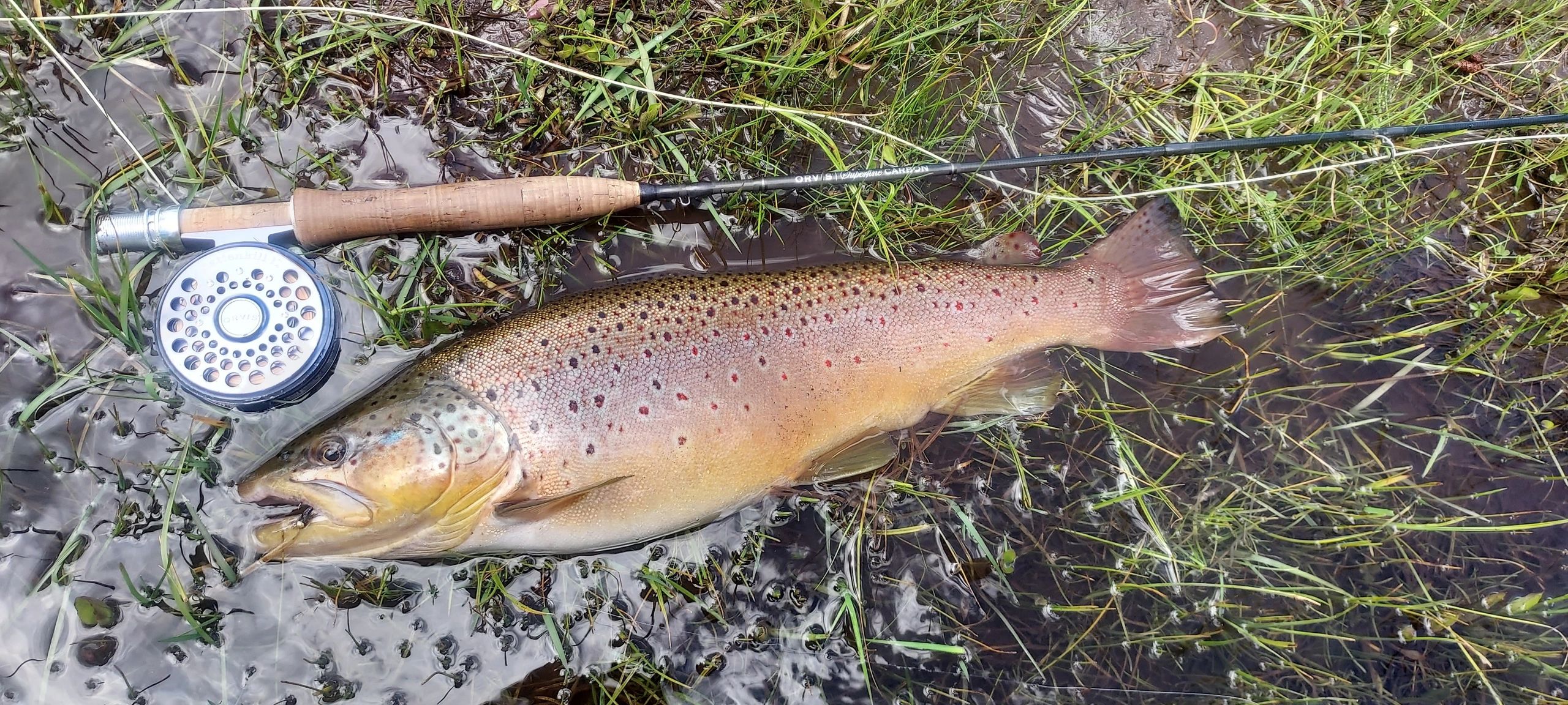 Fly FishingHiking Guide in Arizona - Unforgettable Fishing Trips