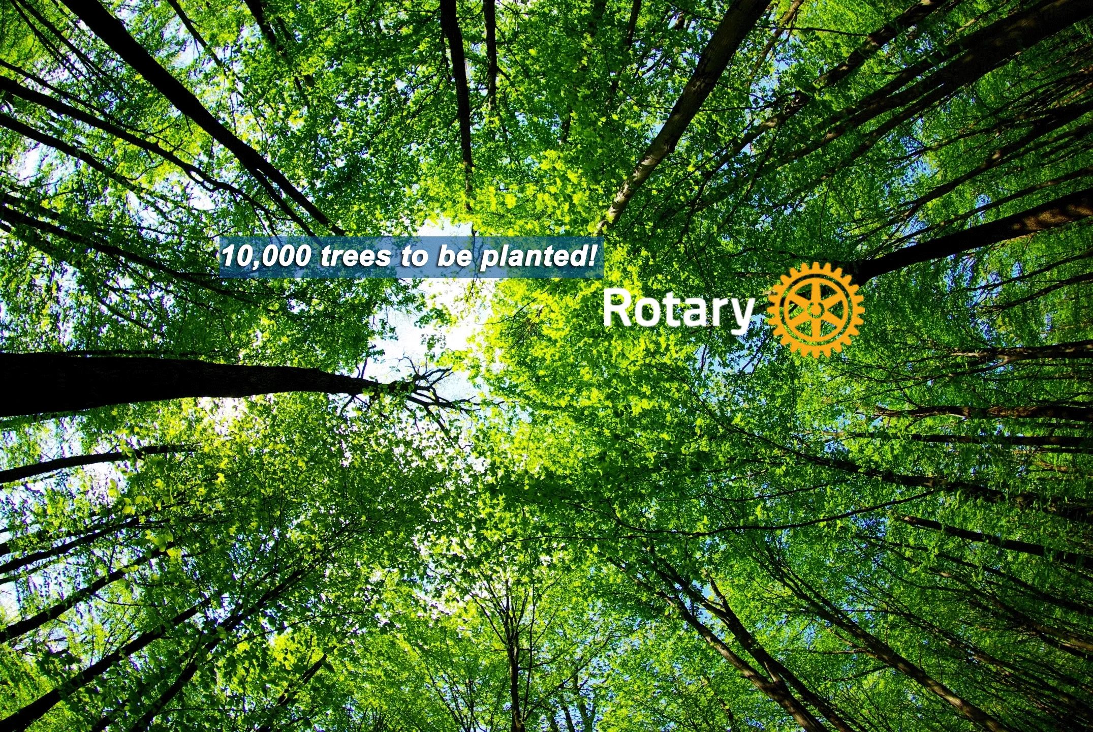 Rotary Adopt a Tree - Rotary Adopt-A-Tree