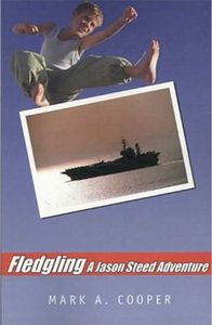 The Jason Steed series