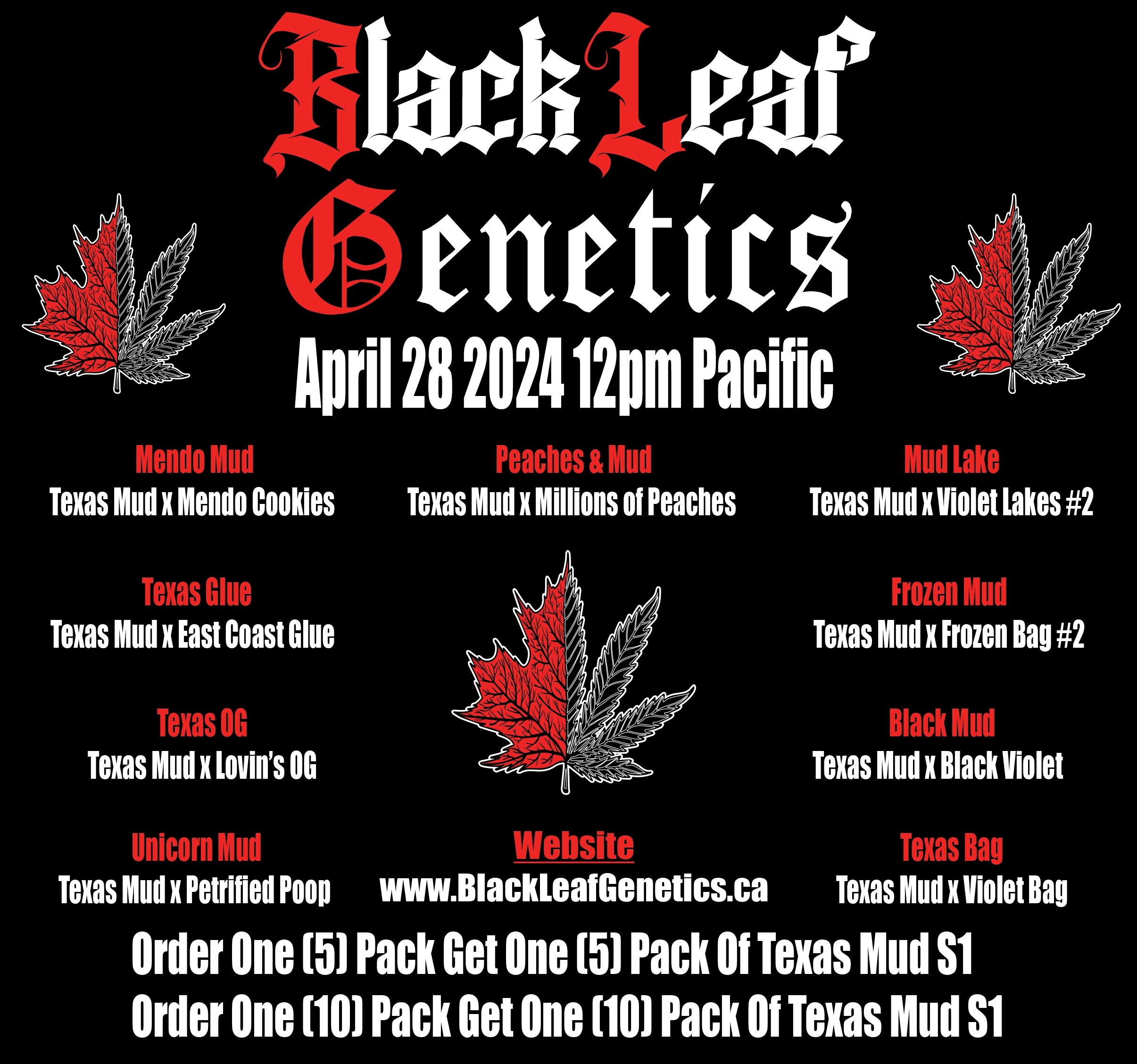 BlackLeafGenetics - Home