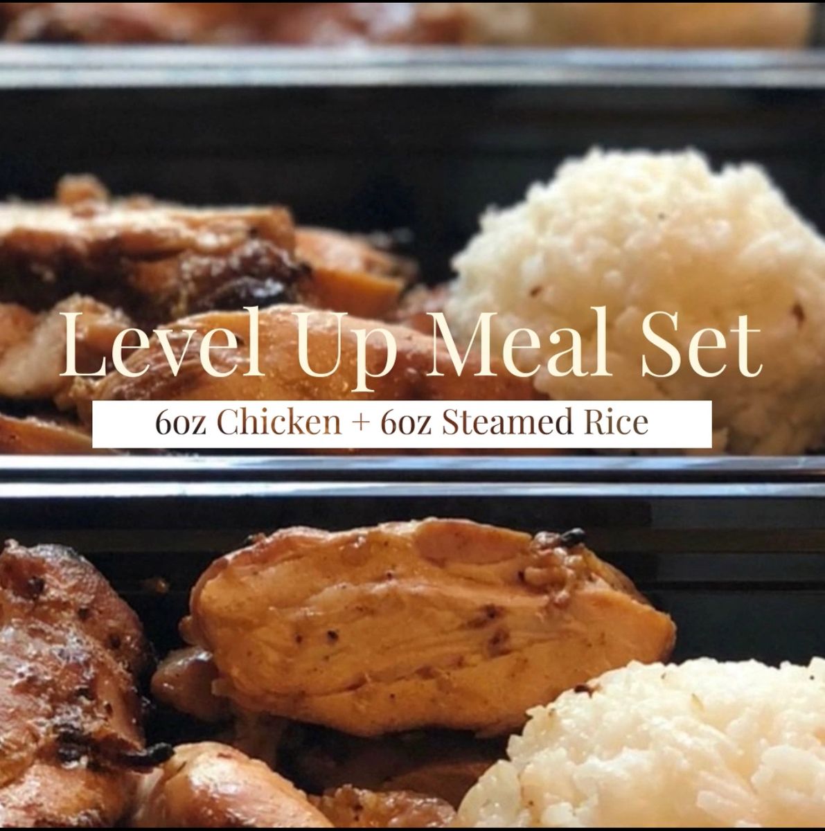 LEVEL UP FIT MEAL SET (5 meals included)