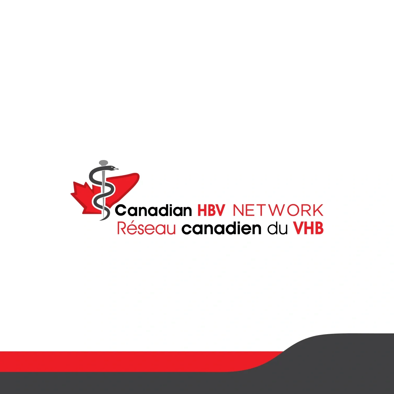 CONFERENCES & EVENTS | Welcome to the Canadian HBV Network