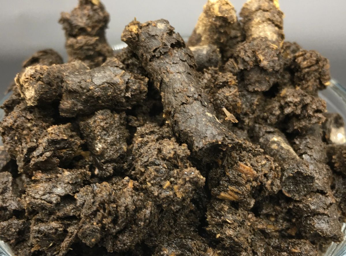 Mushroom Growing Substrate