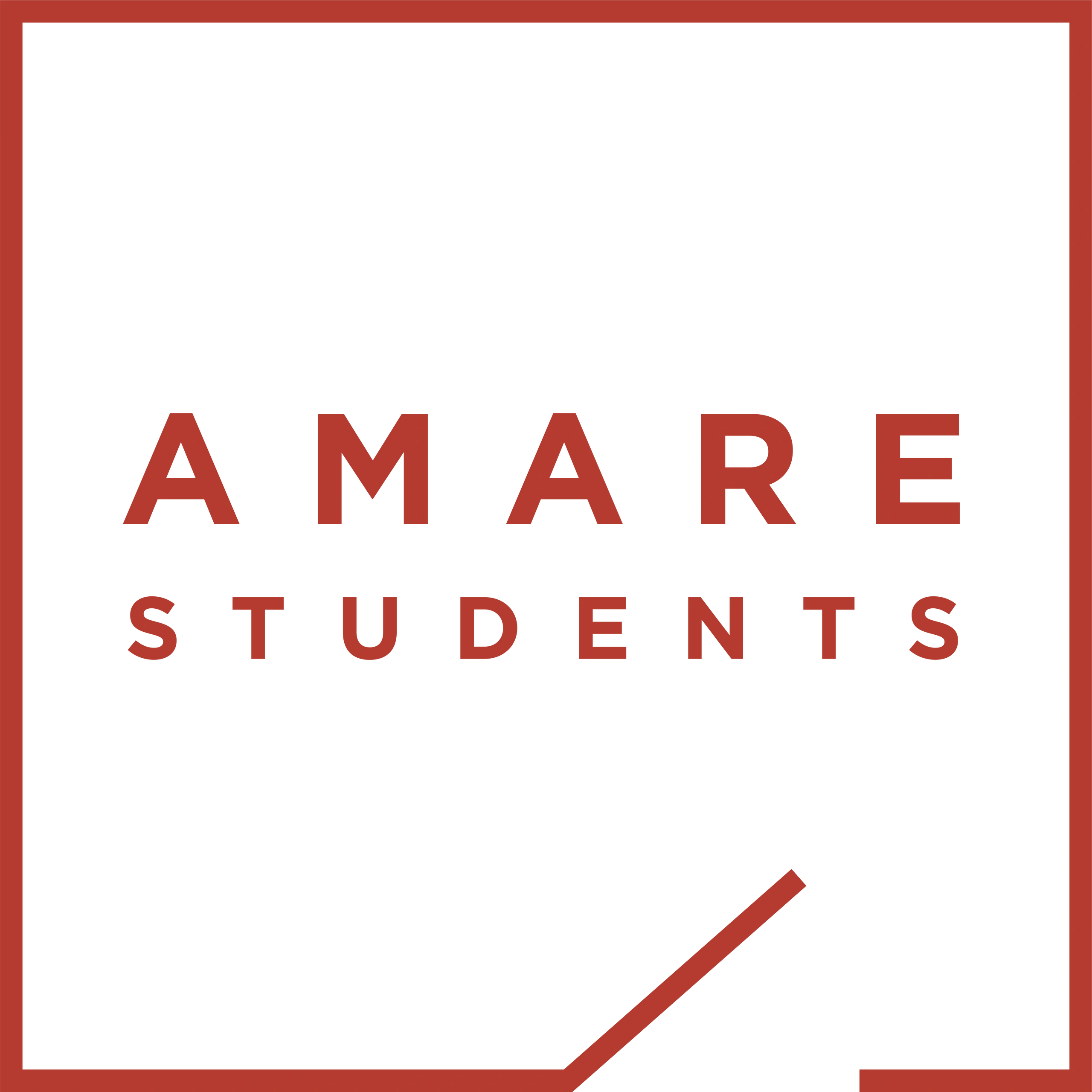 Amare Students