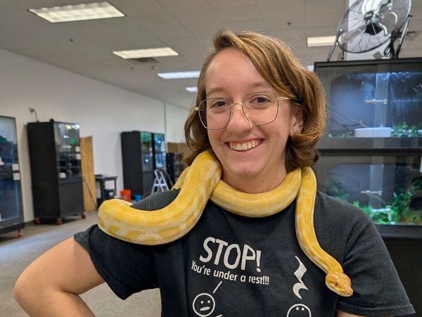 Raging Reptiles - Education - Alexandria, Virginia