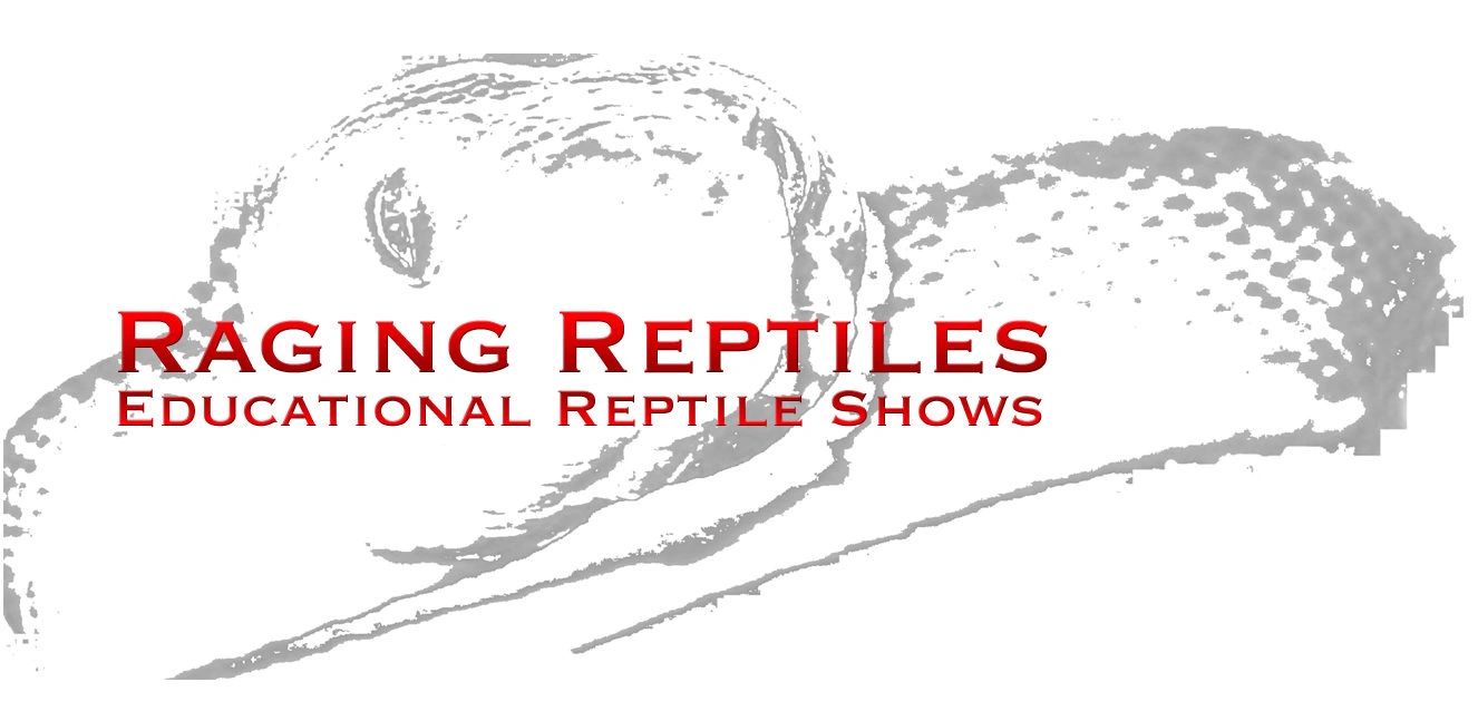 Raging Reptiles - Education - Alexandria, Virginia