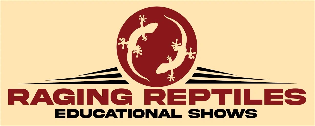 camps | Raging Reptiles