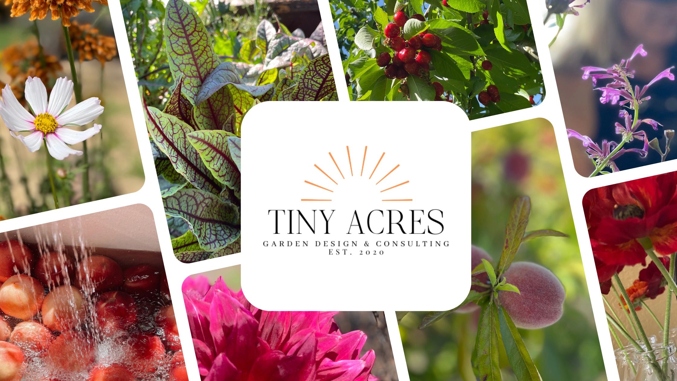 Our Roots