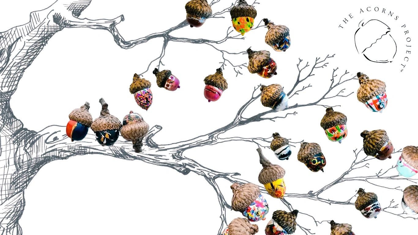 Home [theacornsproject.com]