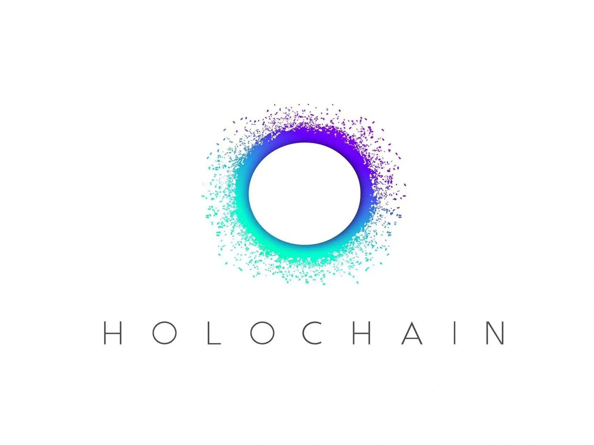 Holochain: A Framework for Peer-to-Peer Distributed Applications