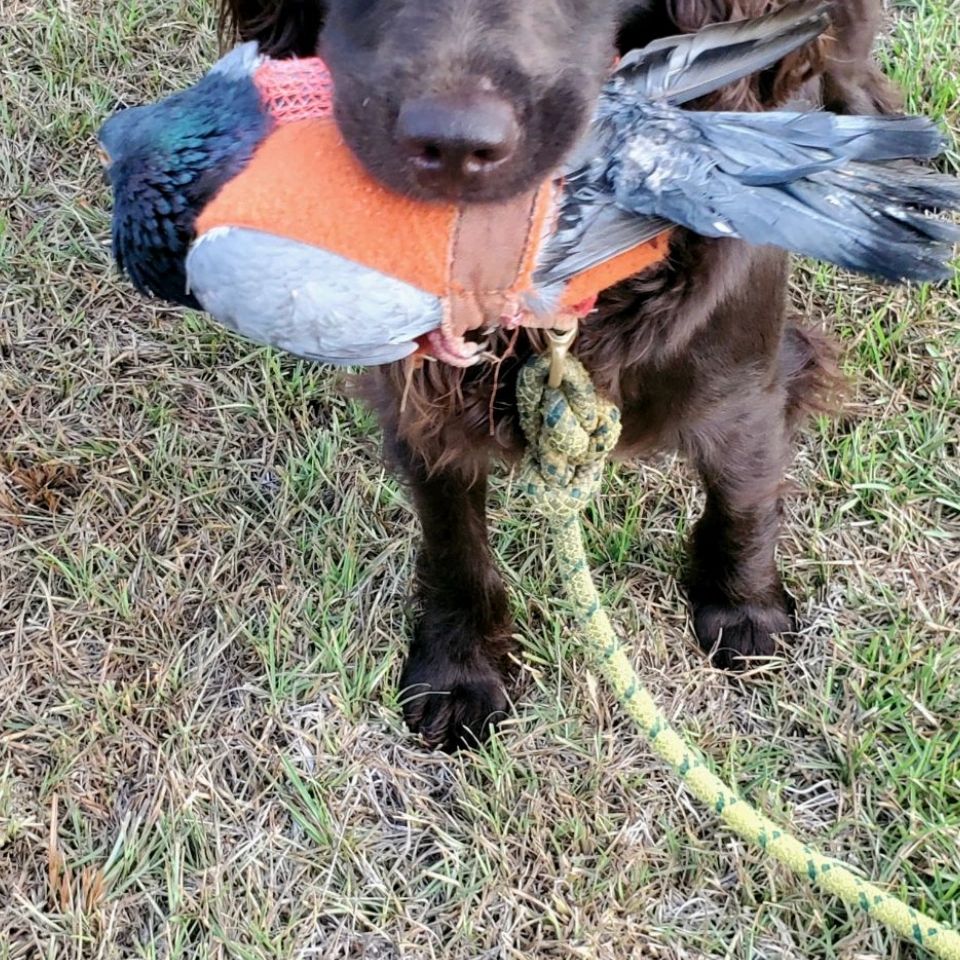 Our Girls | Show Me Boykins