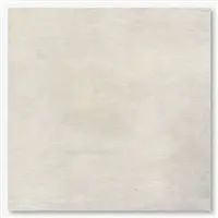 Picture This Plus - 36 Count Fog Linen