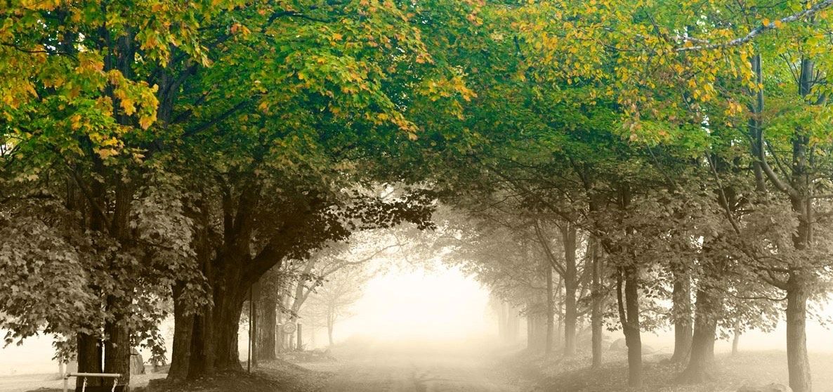 Meet the team | Guardian Angel Funerals