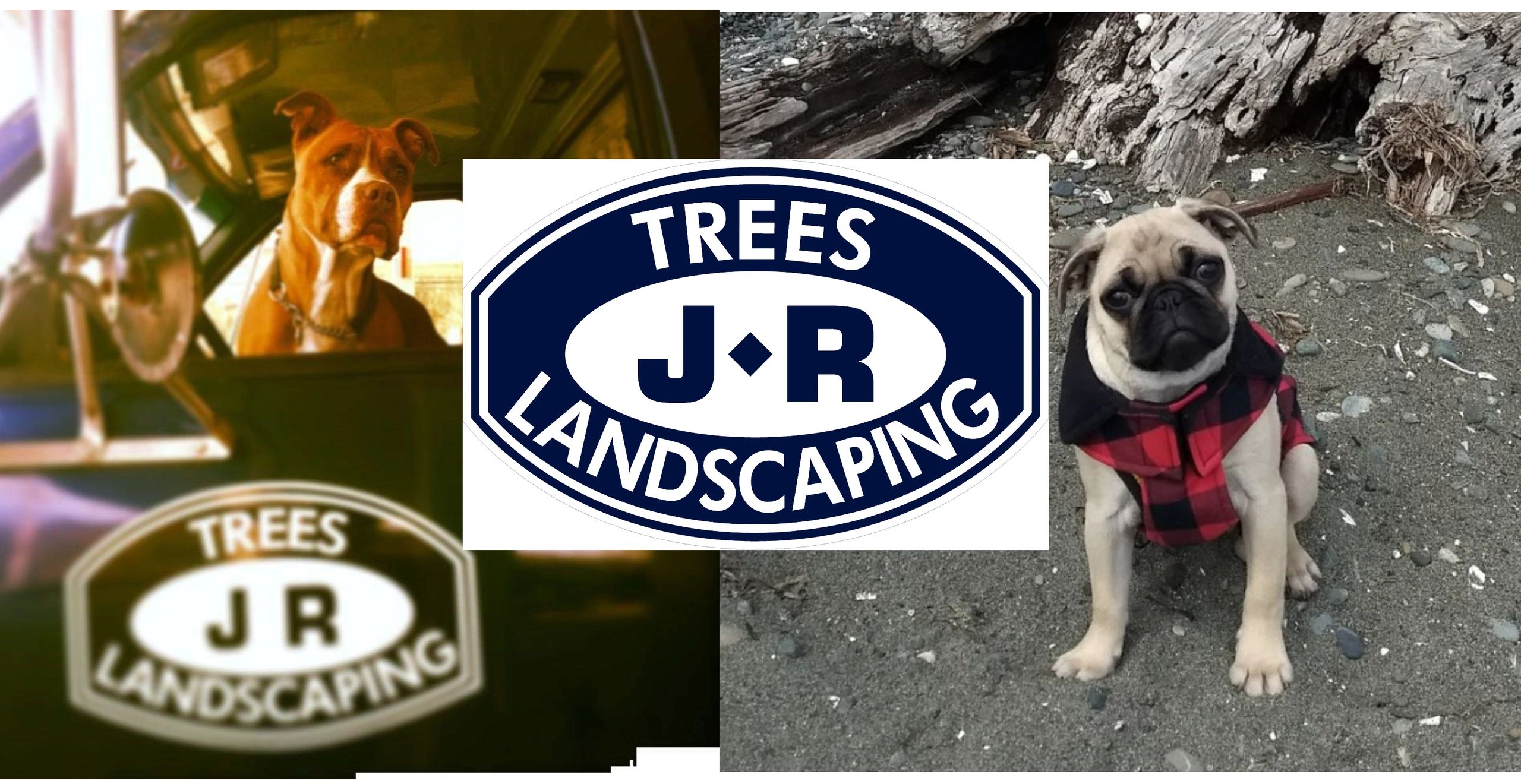 JR Tree Service and Landscaping | JR Tree Service and Landscaping