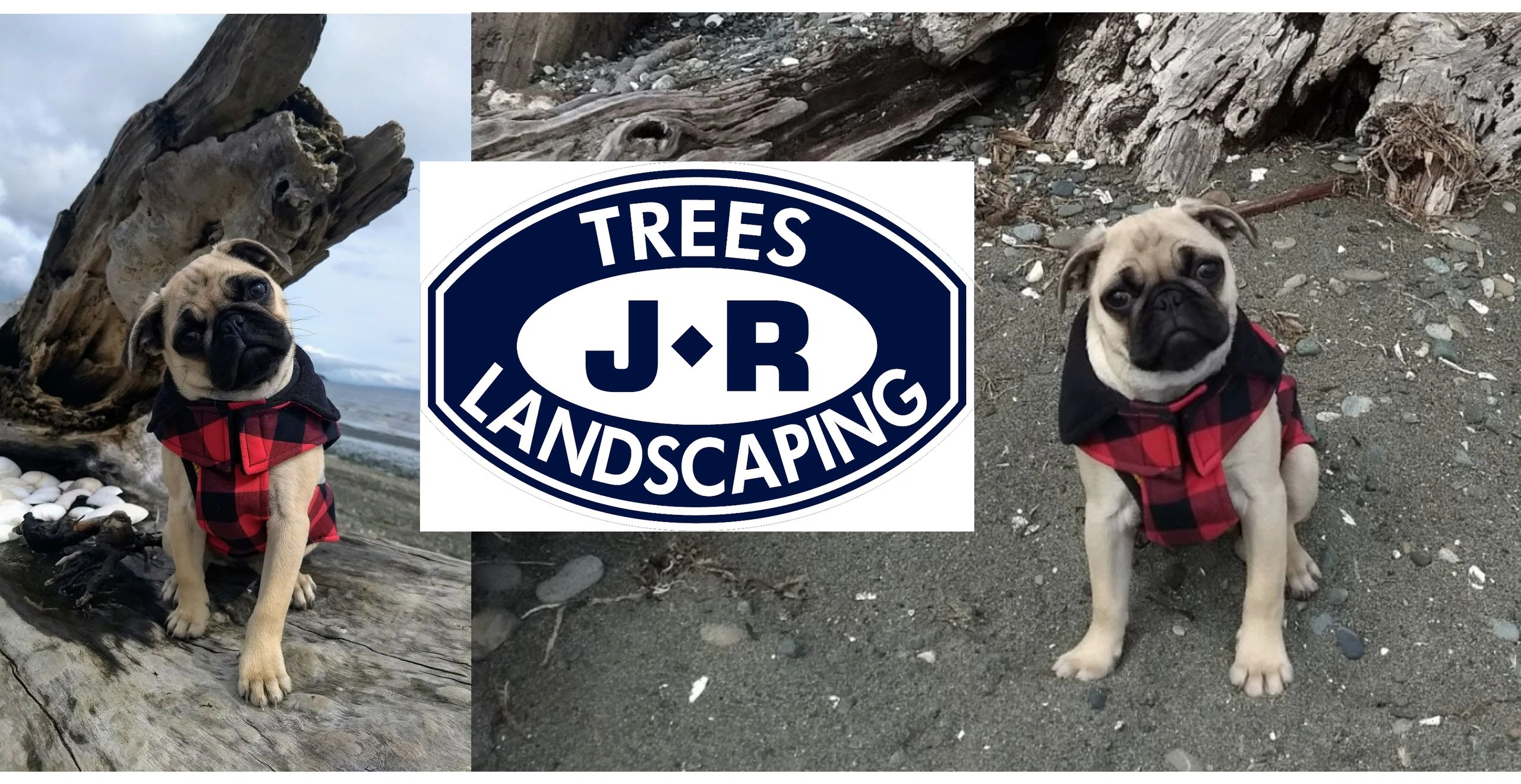 JR Tree Service and Landscaping | JR Tree Service and Landscaping