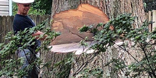 JR Tree Service, Landscaping & Lawn care