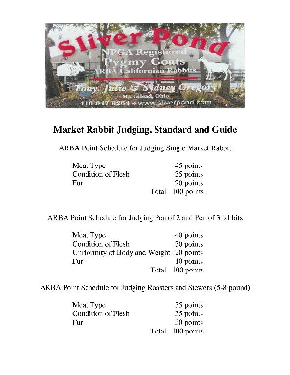 Market Rabbit Judging