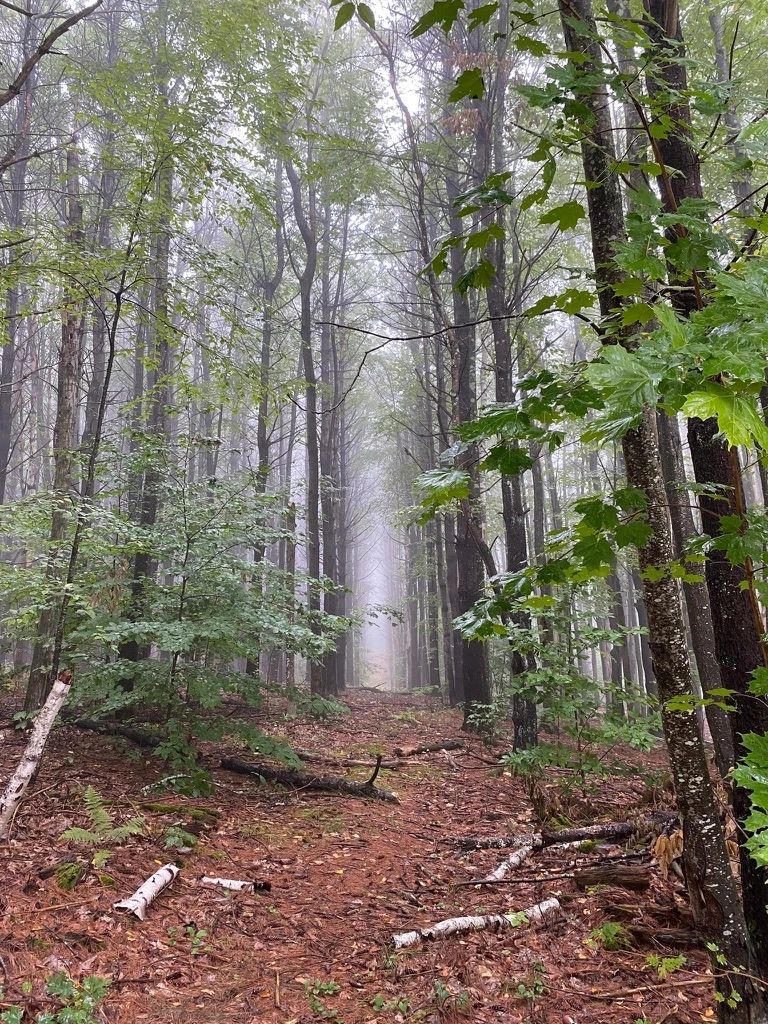 Hand N Hand Solutions