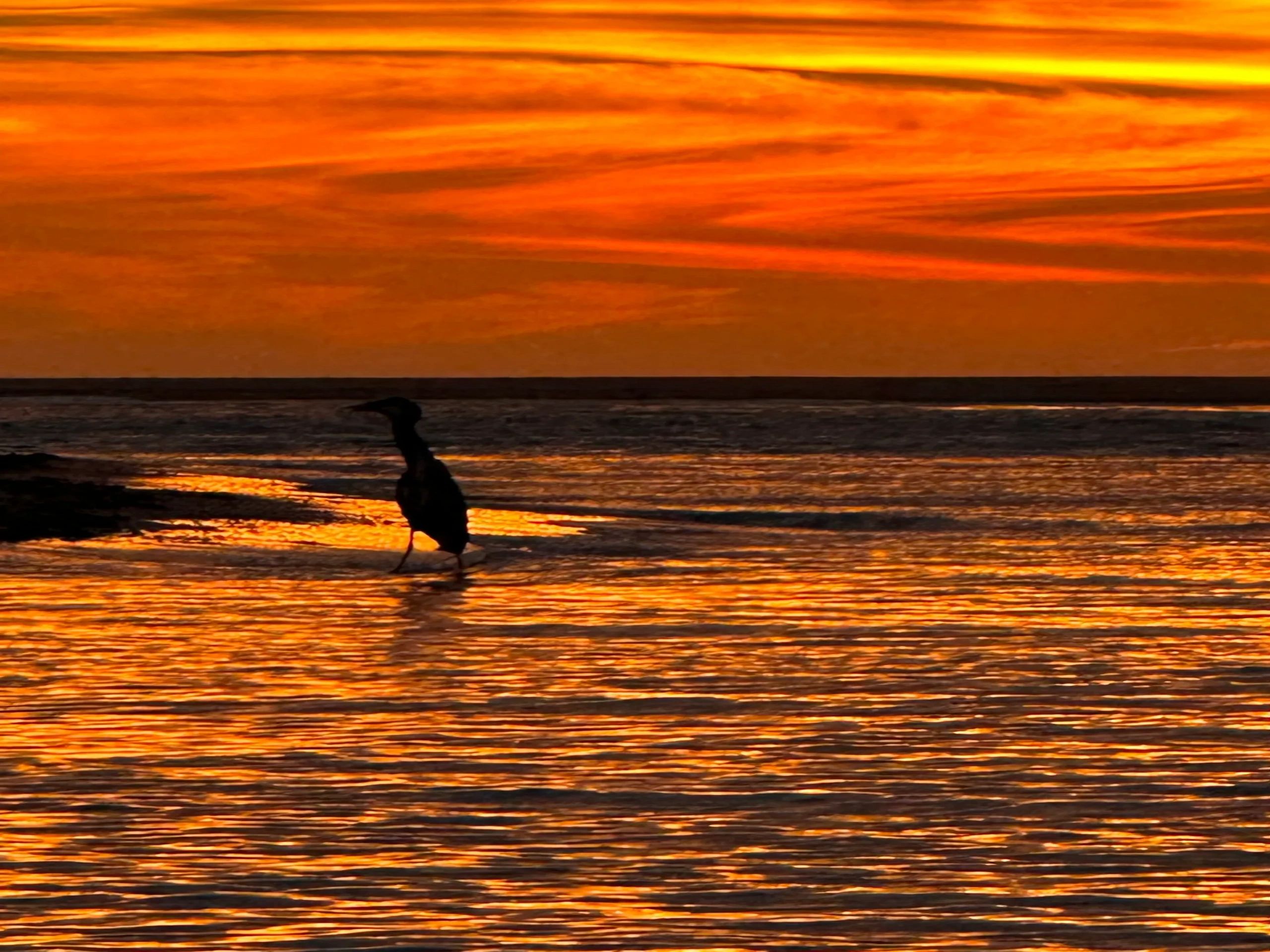 Sunset Cruise - Boca Grande Boat Charters