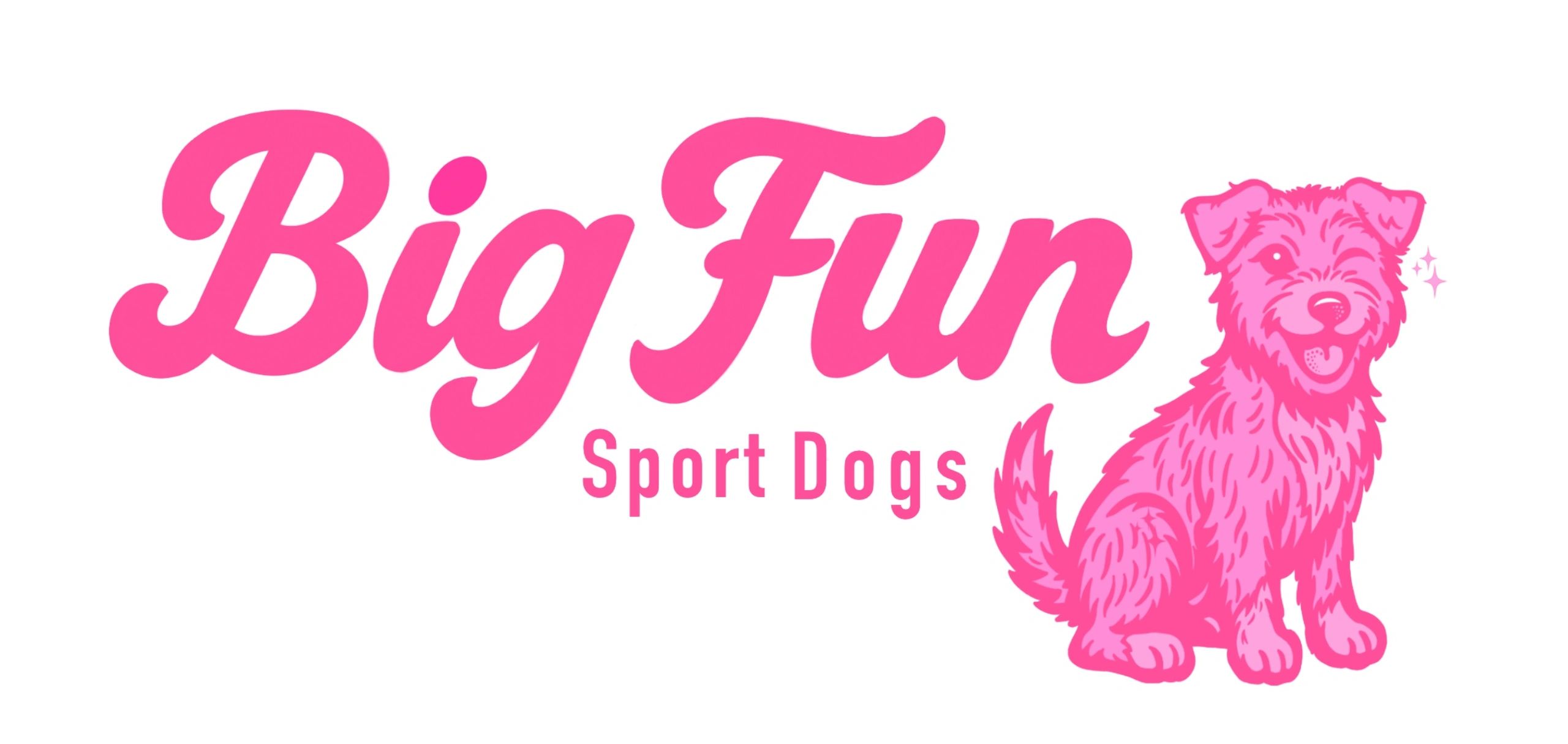 Big Fun Sport Dogs