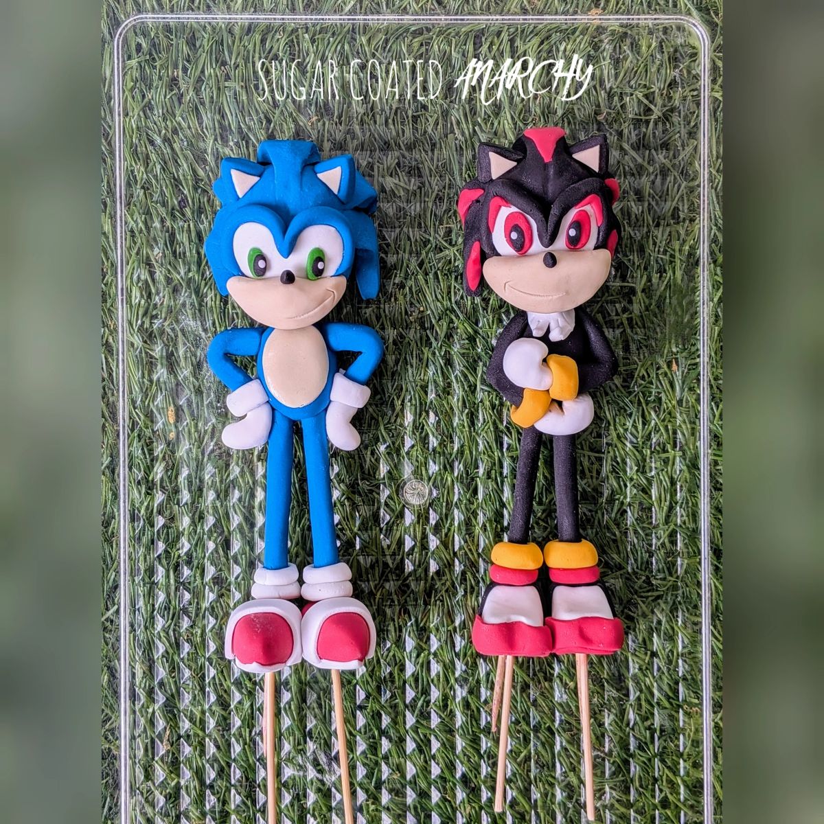 SONIC & SHADOW