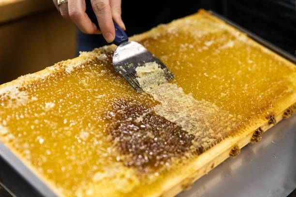 Best Raw Honey in Kent