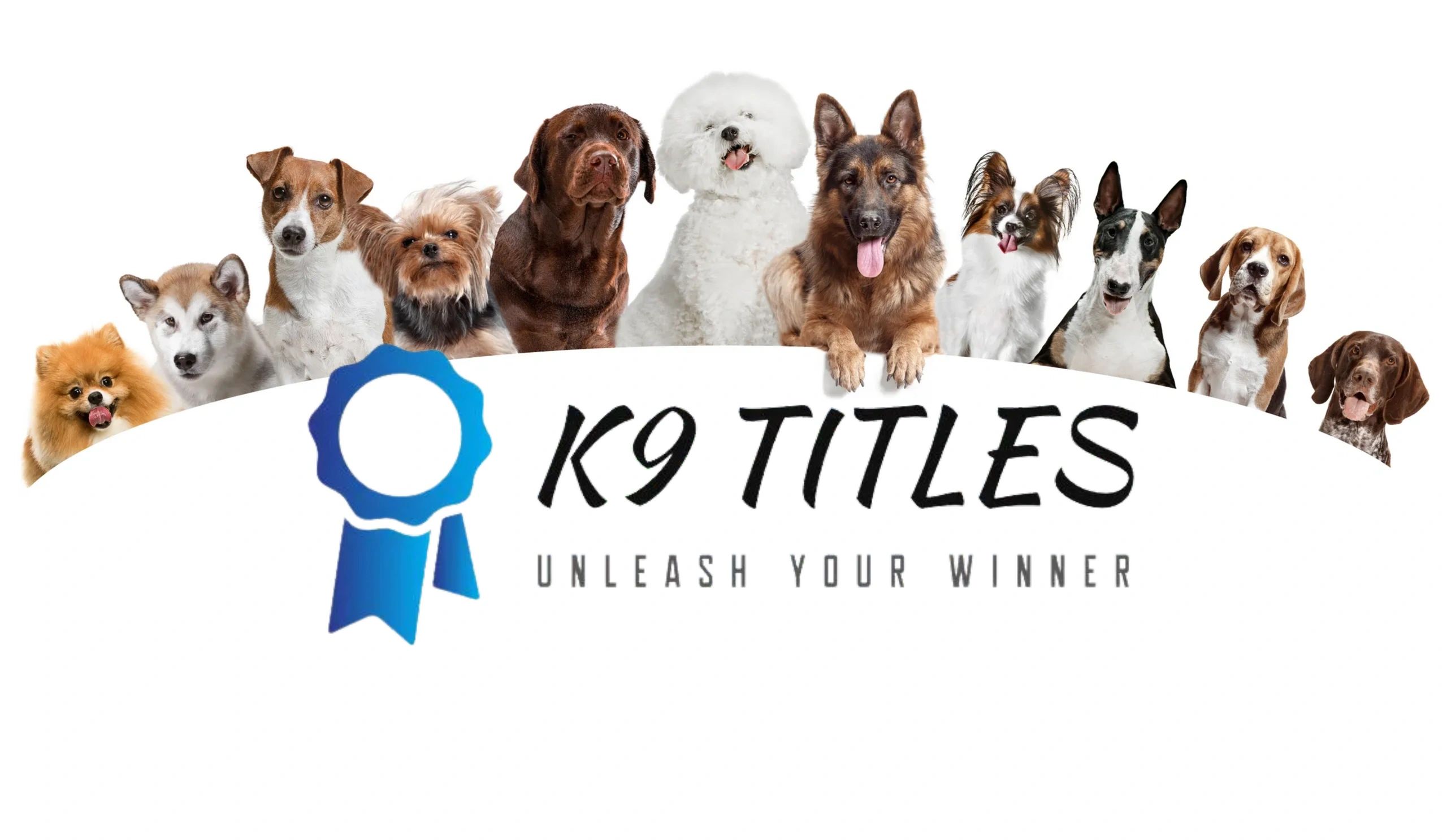 AKC Canine Good Citizen