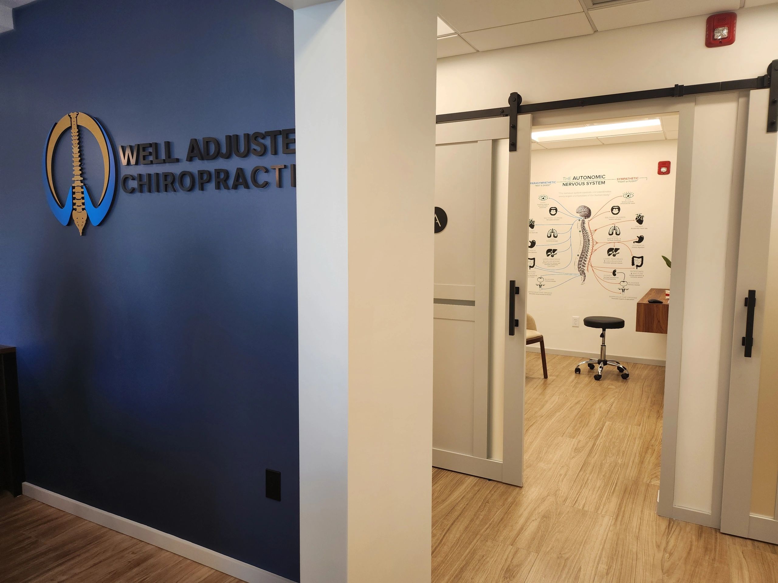Well Adjusted Chiropractic Miami
