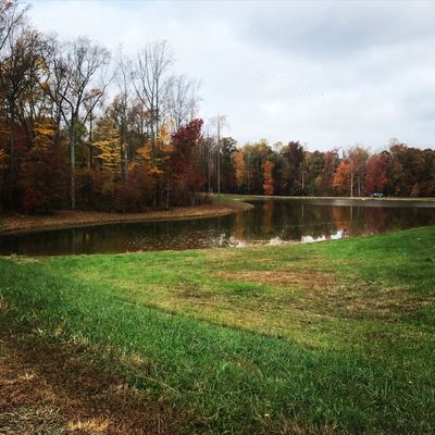 Harvest Ridge Farm - Pumpkin Patch, Corn Maze
