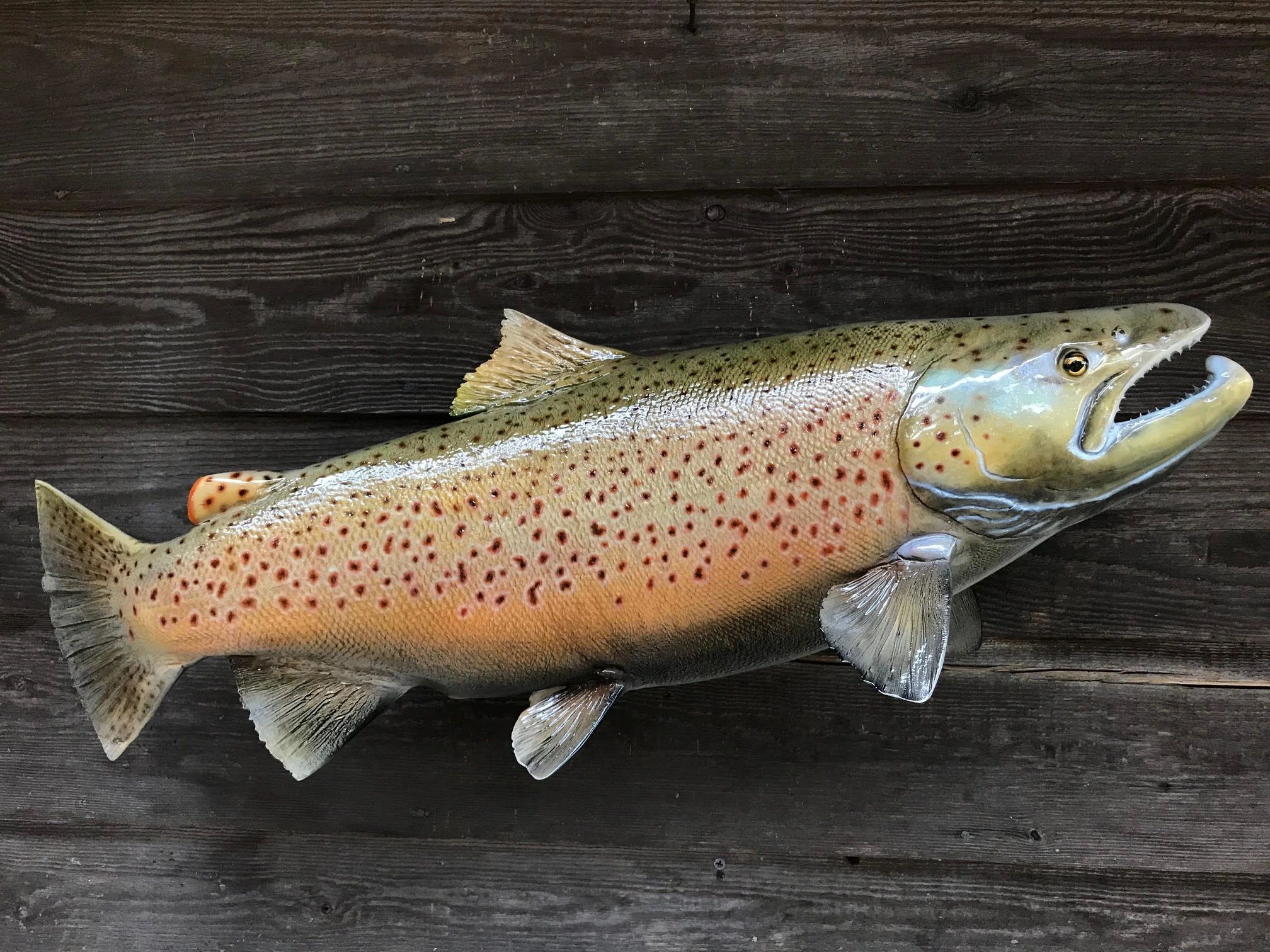 Anglers choice fish mounts - Fish Replicas, Fish Reproductions