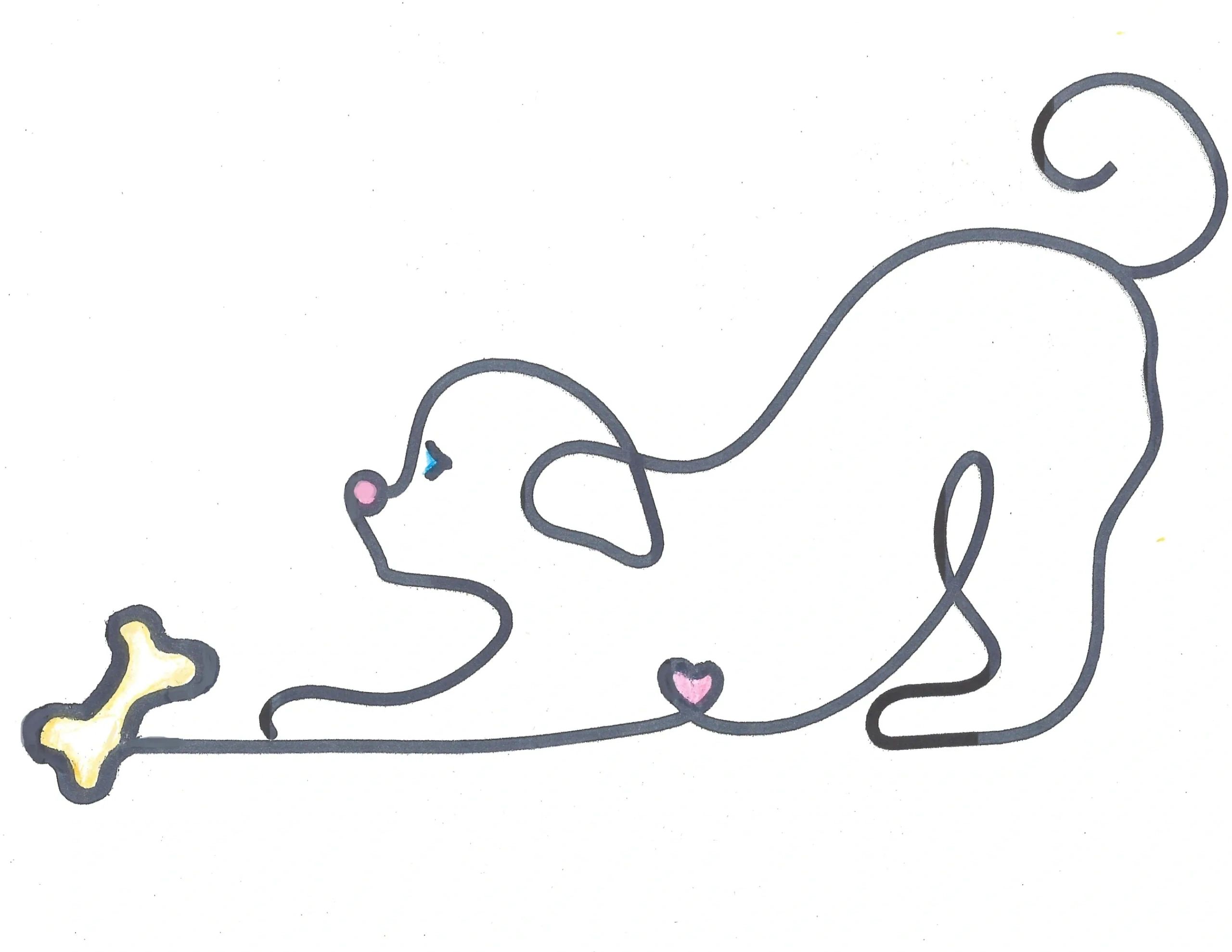 Tip2Tail Dog Grooming - Home