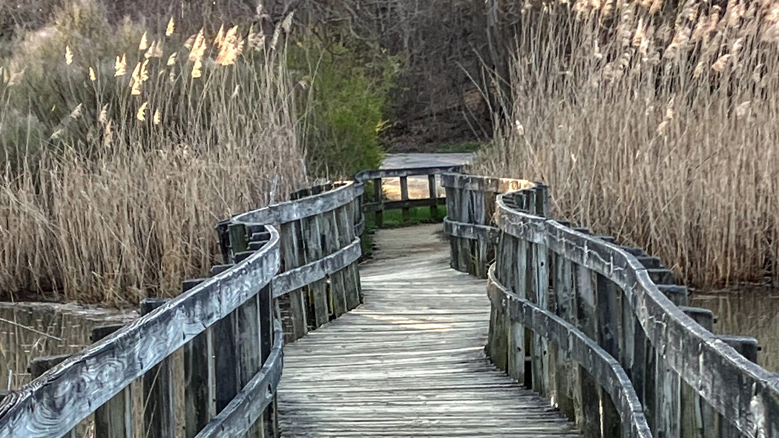 Dying Well in Delaware - Good Death, Death and Dying, Eco Funerals