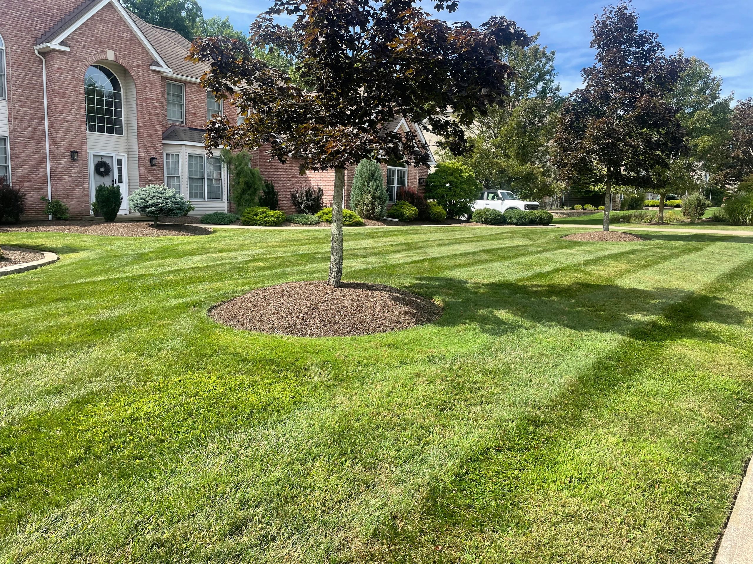 Talawncareservices - Lawn Care Near Me, Lawn Mowing