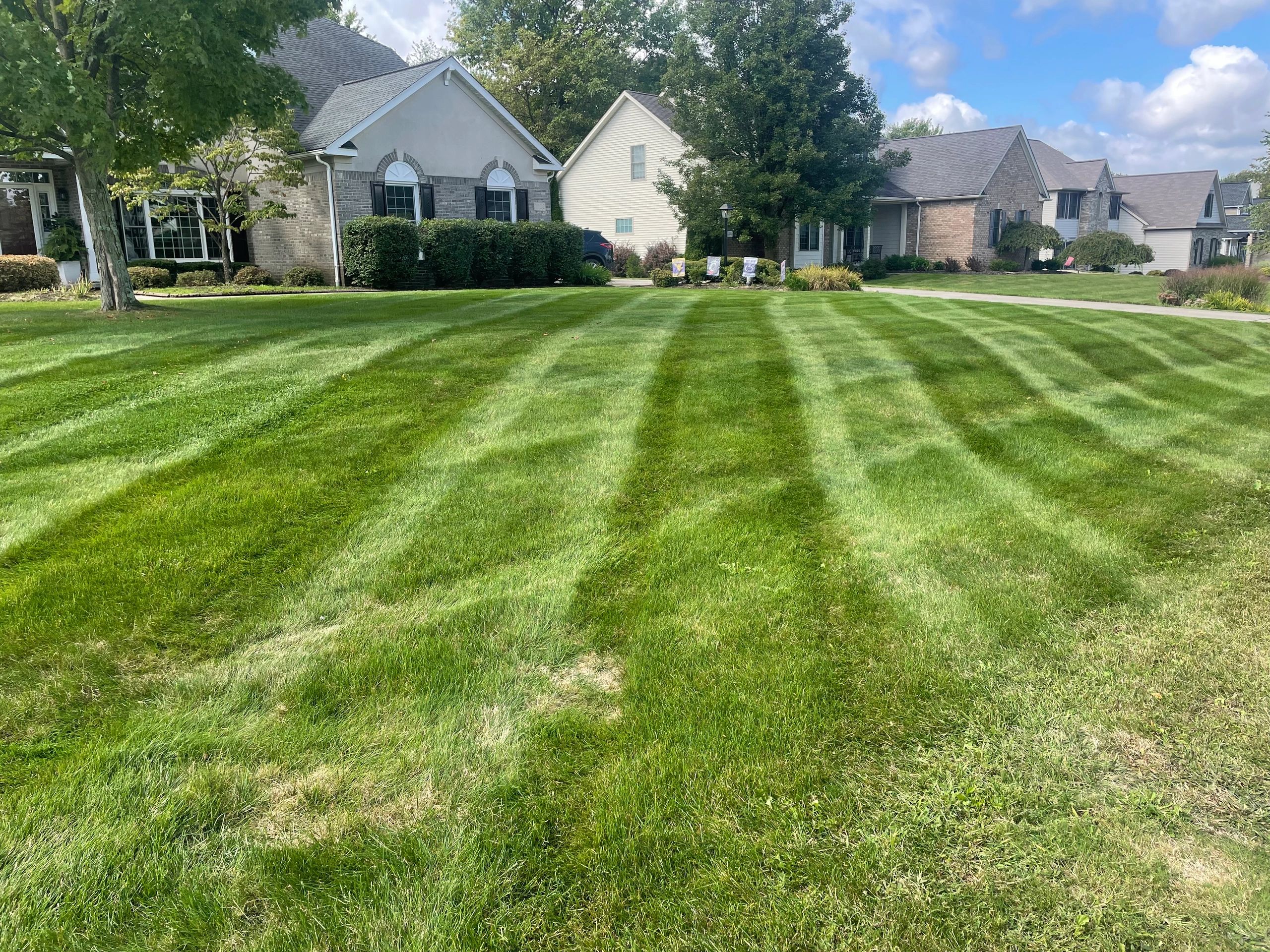 Talawncareservices - Lawn Care Near Me, Lawn Mowing