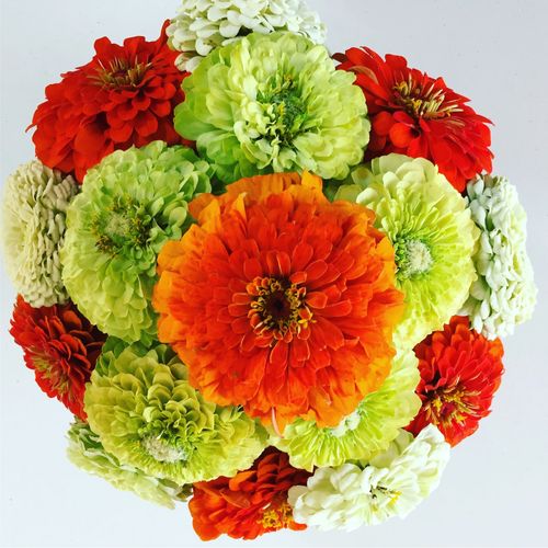 Sonoma Healing Flowers - Flowers, Bouquets, Florist