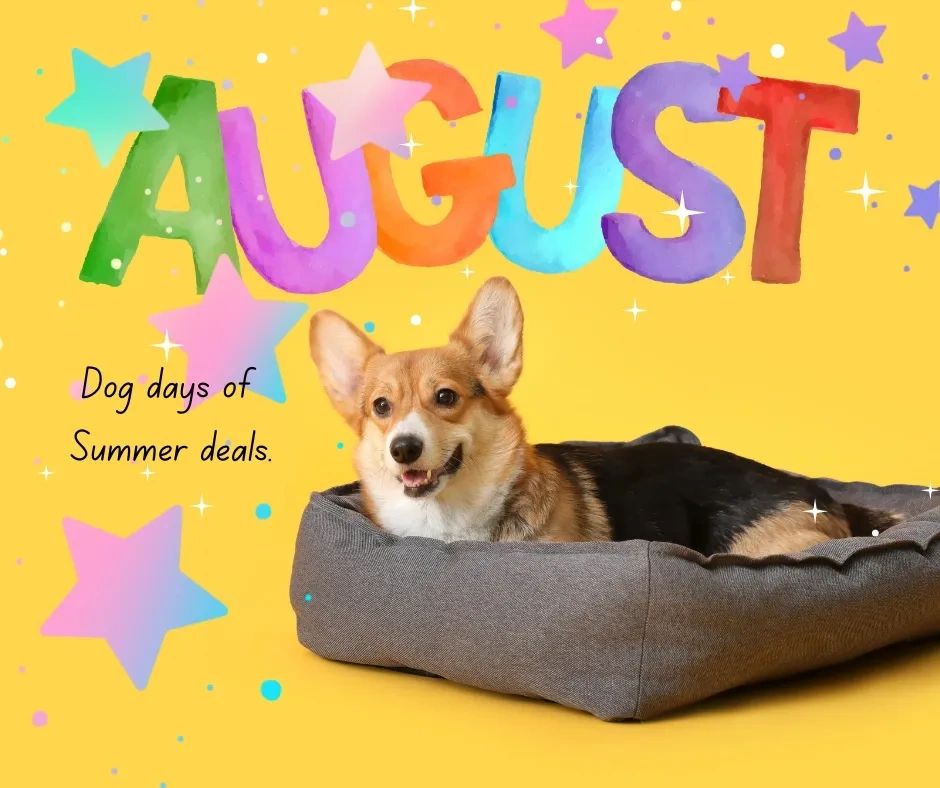 Shop Corgi merchandise at the Corgi Glitz store