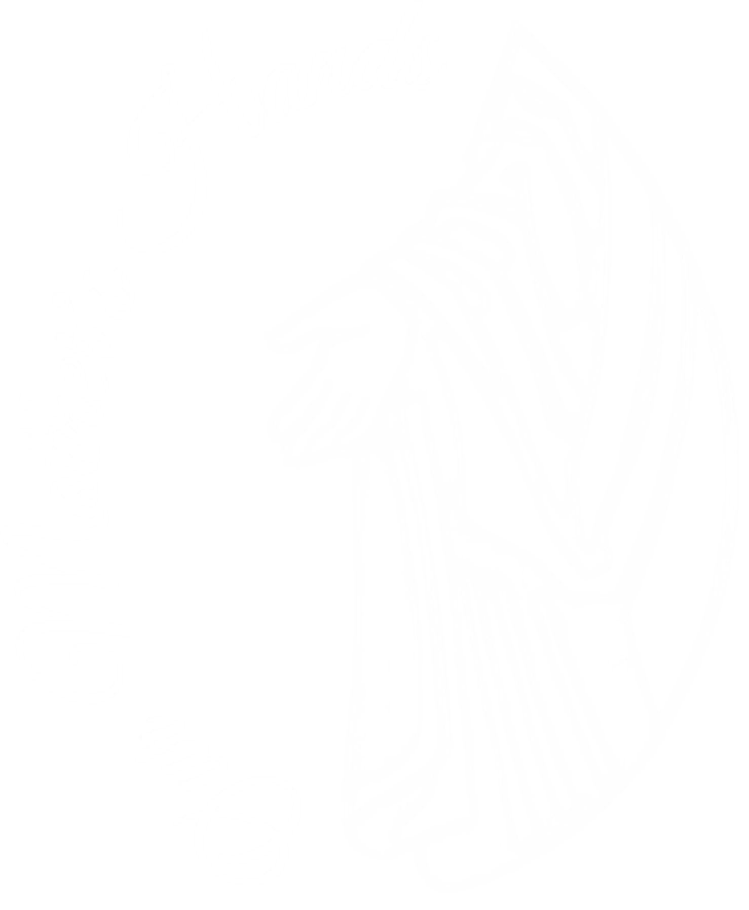 Holy Face Presentation